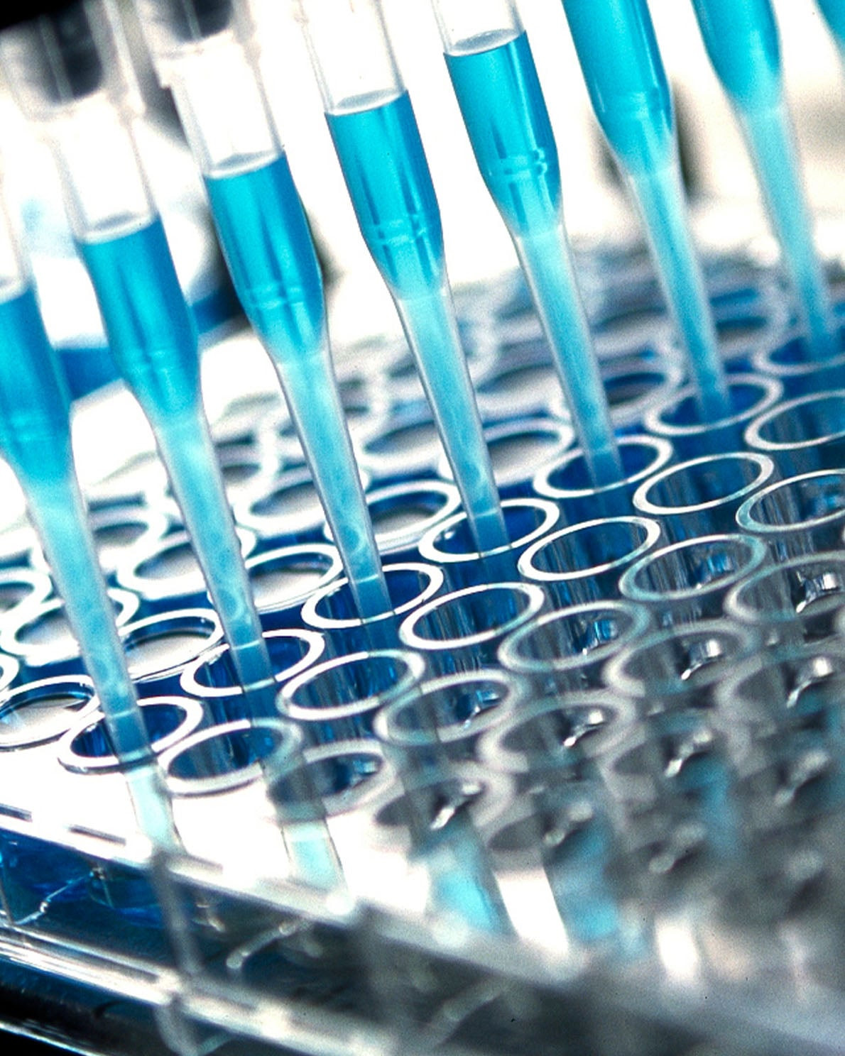 Patheon - JLL Partners